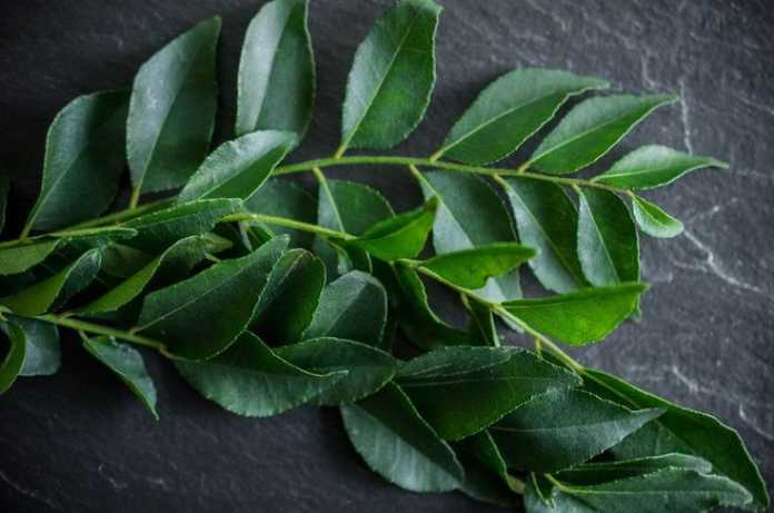 Top 20 Kinds Of Edible Leaves - Crazy Masala Food